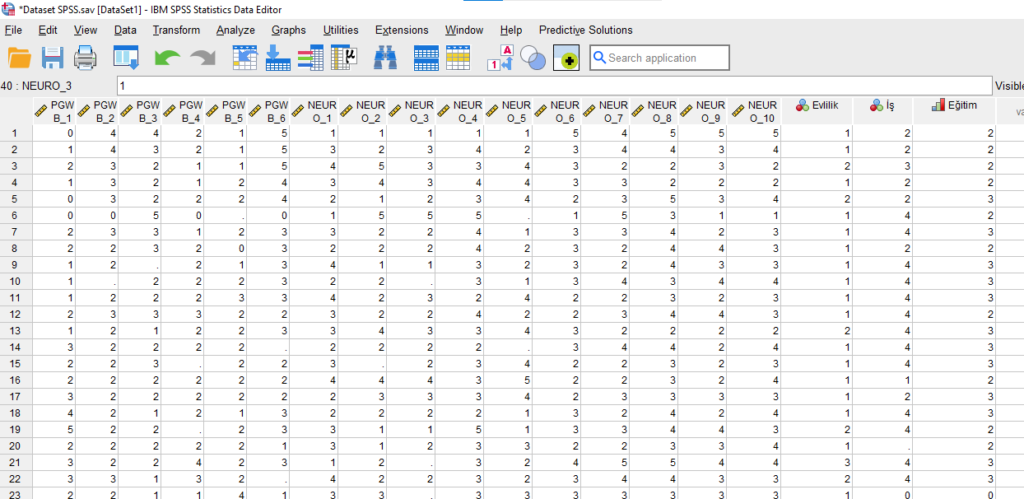 SPSS ile Kayıp Veri Analizi (Resimli) - SPSS YARDIMI İSTATİSTİK MERKEZİ