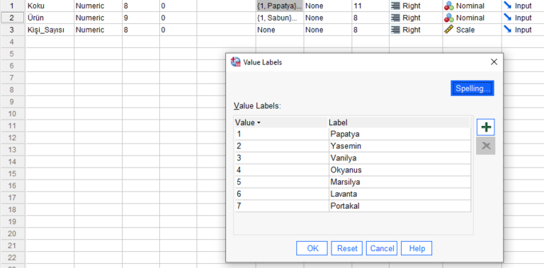 Uyum Analizi (Correspondence Analysis) — SPSS (Resimli) - SPSS YARDIMI İSTATİSTİK MERKEZİ