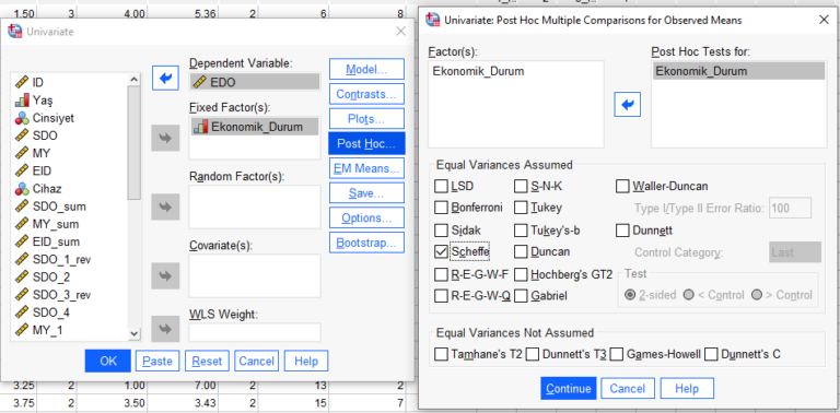 Scheffé Testi Nedir? - SPSS YARDIMI İSTATİSTİK MERKEZİ